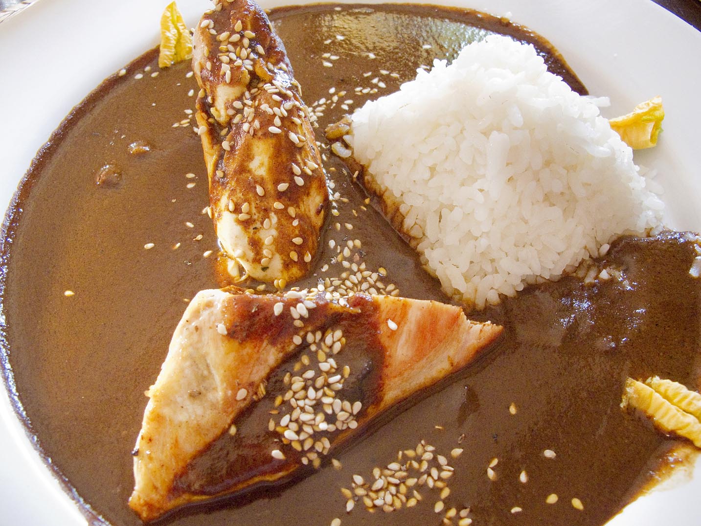 Oaxacan Mole